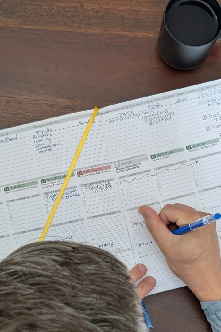 BIG Catholic Calendar - NEW - WalletWin